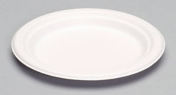 7` Harvest Fiber Paper PlateWhite 20/50 | Plastic Express Inc.