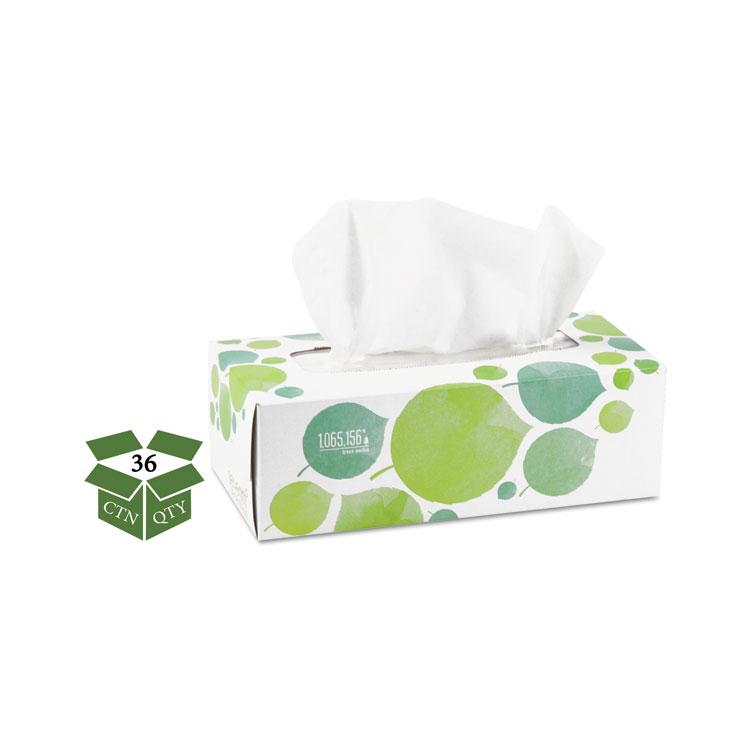 100% Recycled Facial Tissue, 2-Ply, 175 Sheets/Box, 36 Boxes/Carton ...