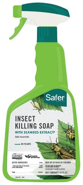 Safer 5110-6 Insect Killing Soap with Seaweed Extract, Liquid, 32 oz ...