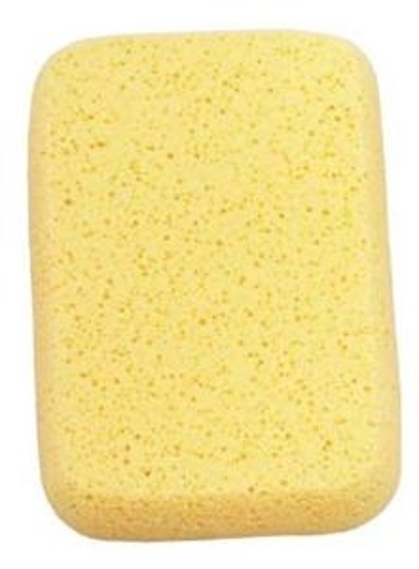 Richard 05598 Professional Grouting Sponge, 8 in L, 5 in W, 2 in Thick ...