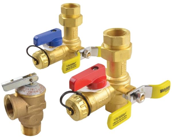 Richmond RTG20326 Tankless Service Valve Kit, Brass | Plastic Express Inc.