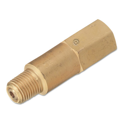 Inline NPT Check Valve, 1/4 in NPT, M/M, 3,000 PSI | Plastic Express Inc.