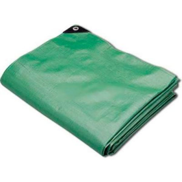 20' x 30' Green Heavy-Duty Poly Tarp | Plastic Express Inc.